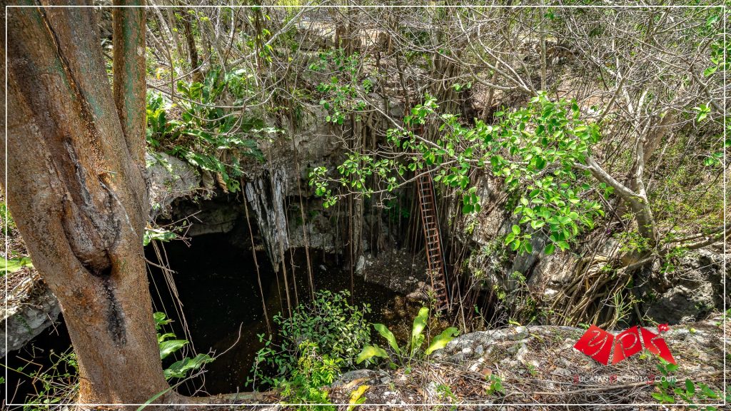 COMPLETELY SELF-SUFFICIENT HACIENDA WITH A HUGE CENOTE (YPS-02-0039 ...