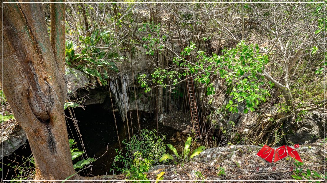 COMPLETELY SELF-SUFFICIENT HACIENDA WITH A HUGE CENOTE (YPS-02-0039 ...