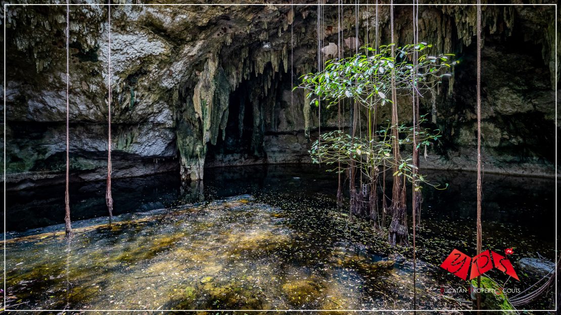 COMPLETELY SELF-SUFFICIENT HACIENDA WITH A HUGE CENOTE (YPS-02-0039 ...